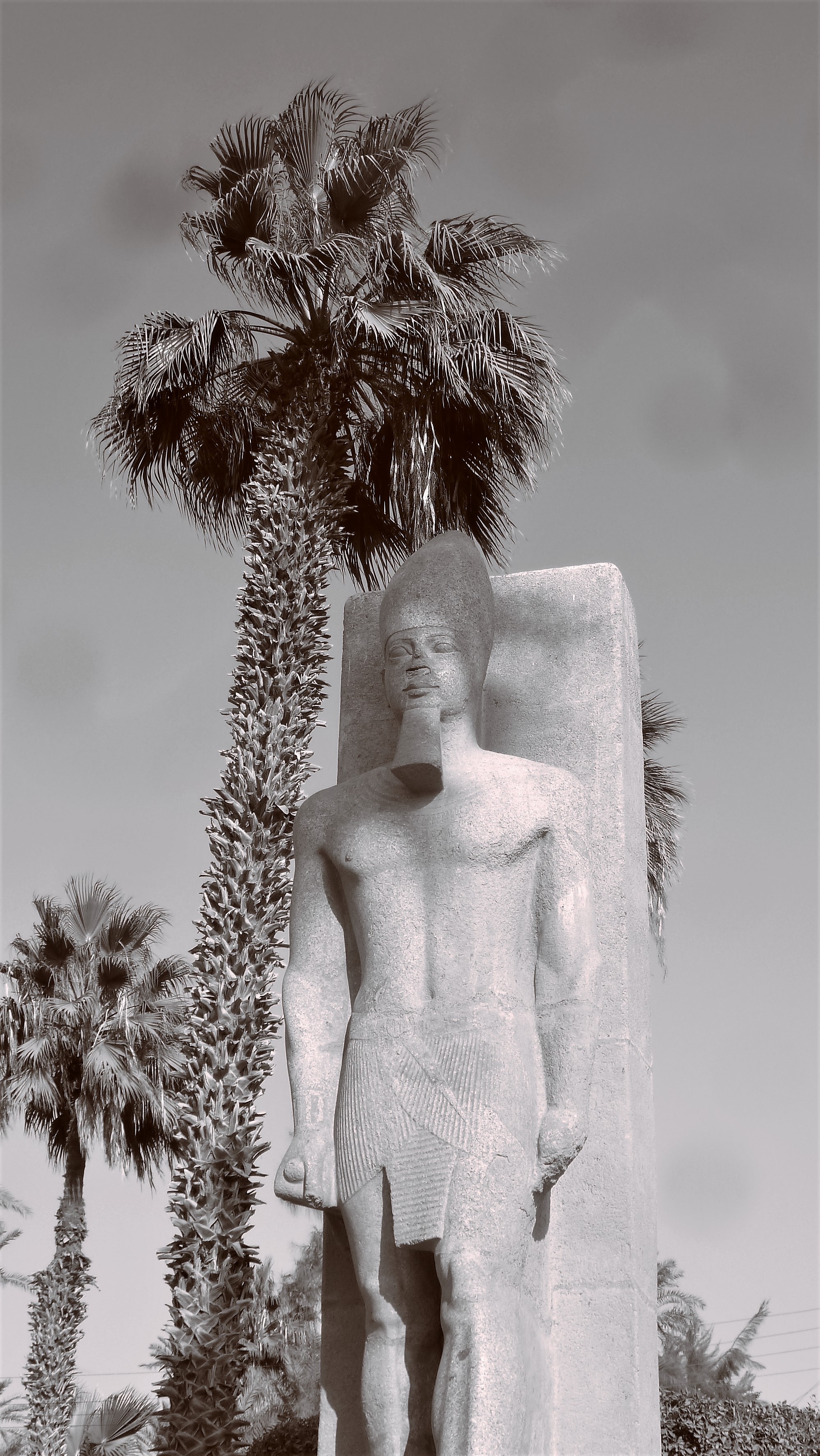 Take A Picture Here, Take A Souvenir | The Durian Apocalypse